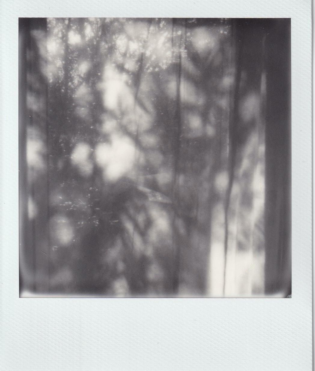 Le sceau du temps – Les pages blanches